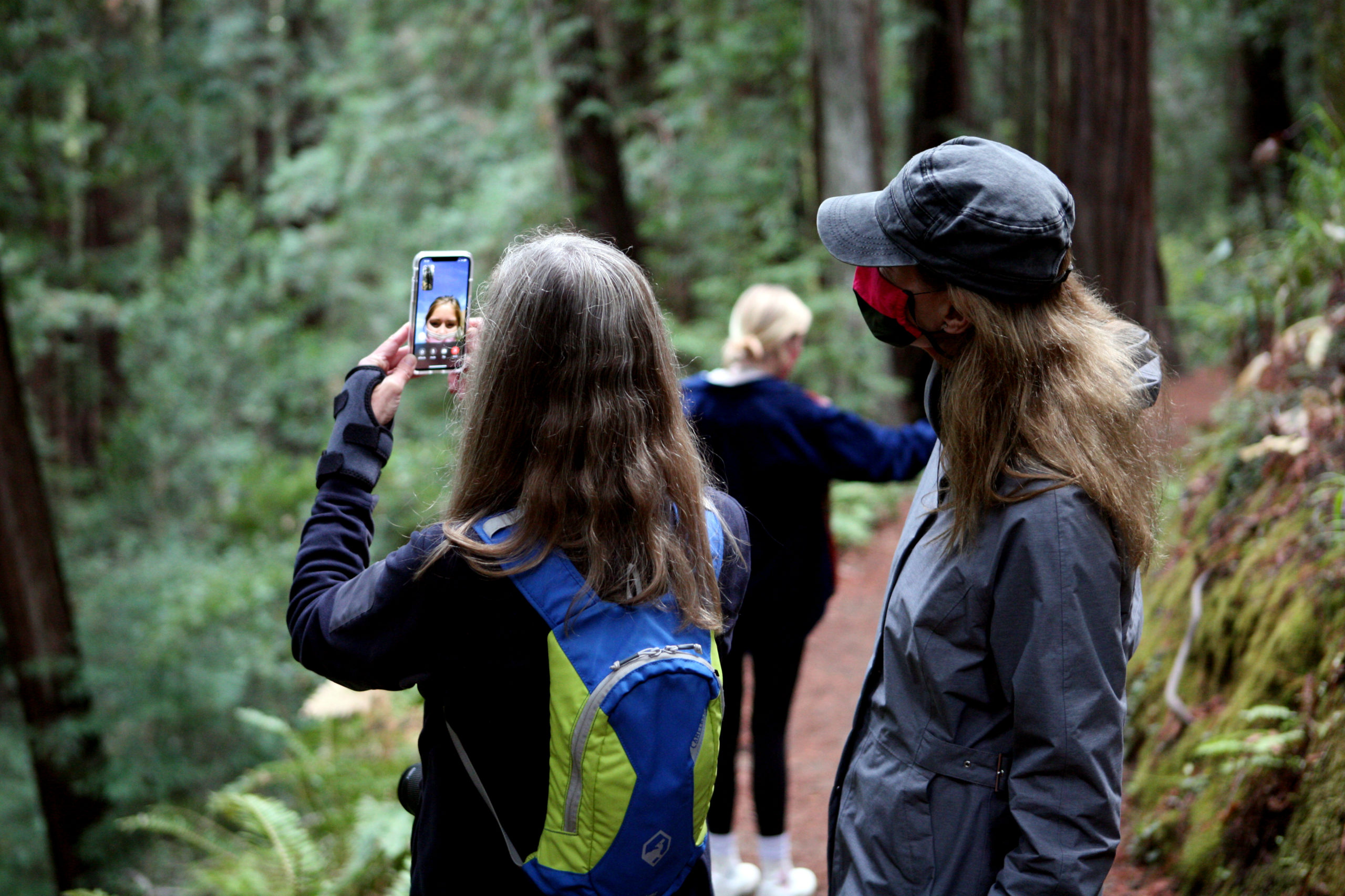 How Redwood Forests Can Heal Us | Save the Redwoods League