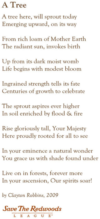 Redwoods Inspired Art | Save the Redwoods League