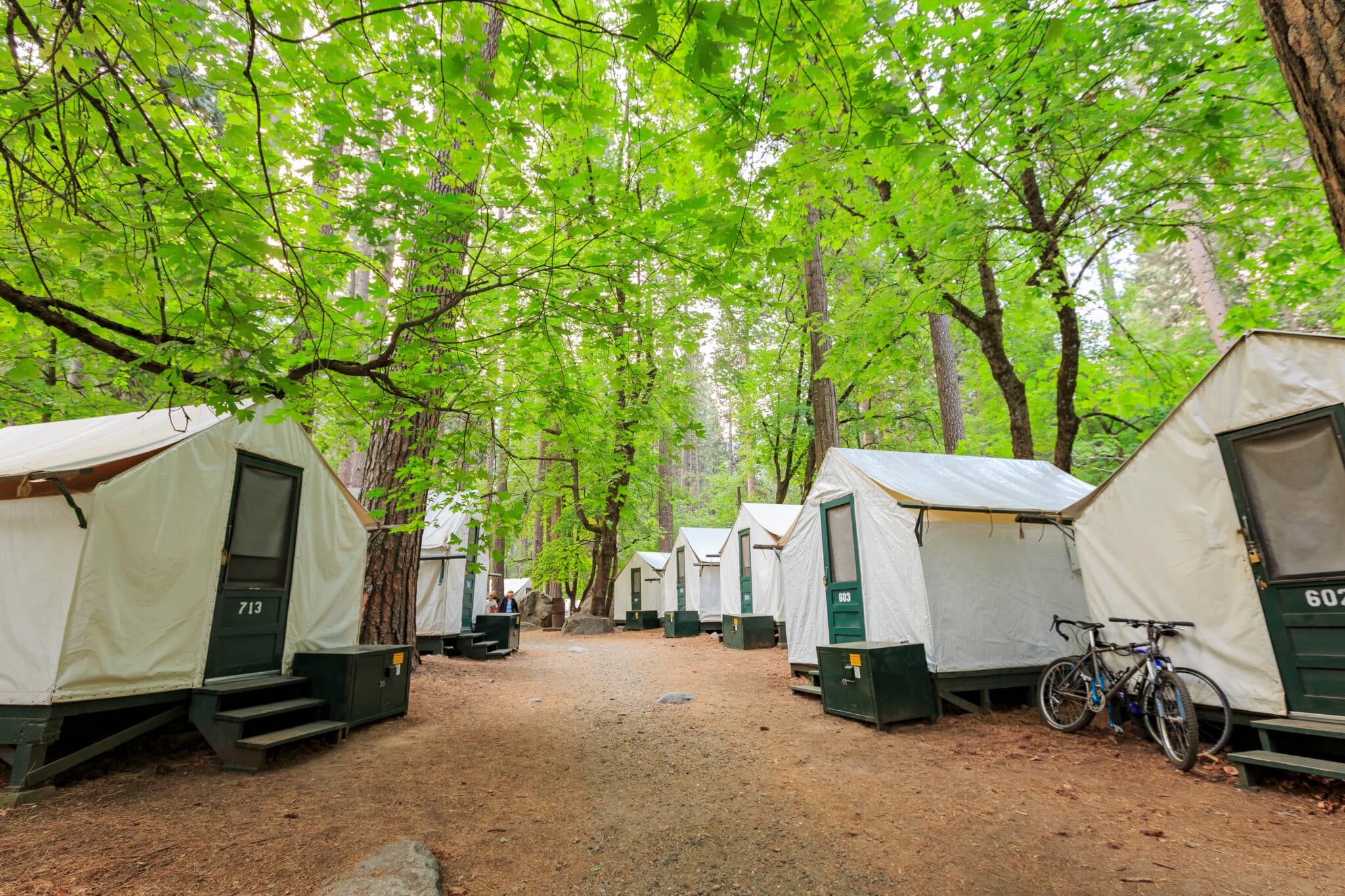Yosemite cabins: Getaways to the giant sequoias | Save the Redwoods League