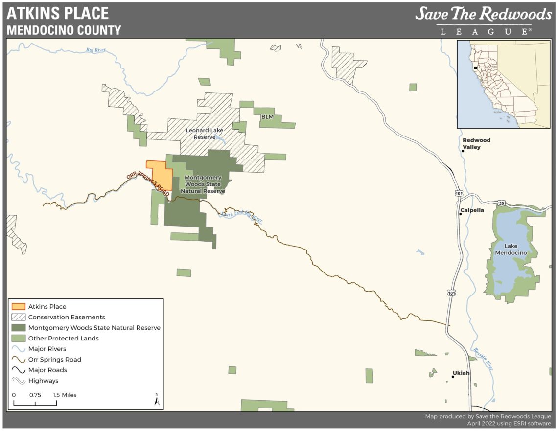 Save the Redwoods League launches Montgomery Woods Initiative with ...