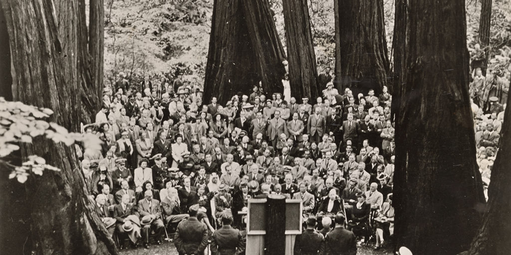 Sustaining Grandeur | Save the Redwoods League