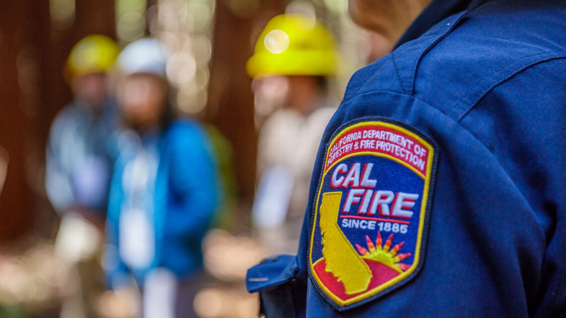 Prop 4 could be a game changer for redwoods | Save the Redwoods League