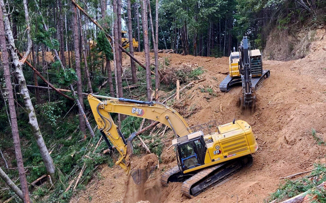 A New Report on the Restoration Economy of Redwood Parks | Save the ...