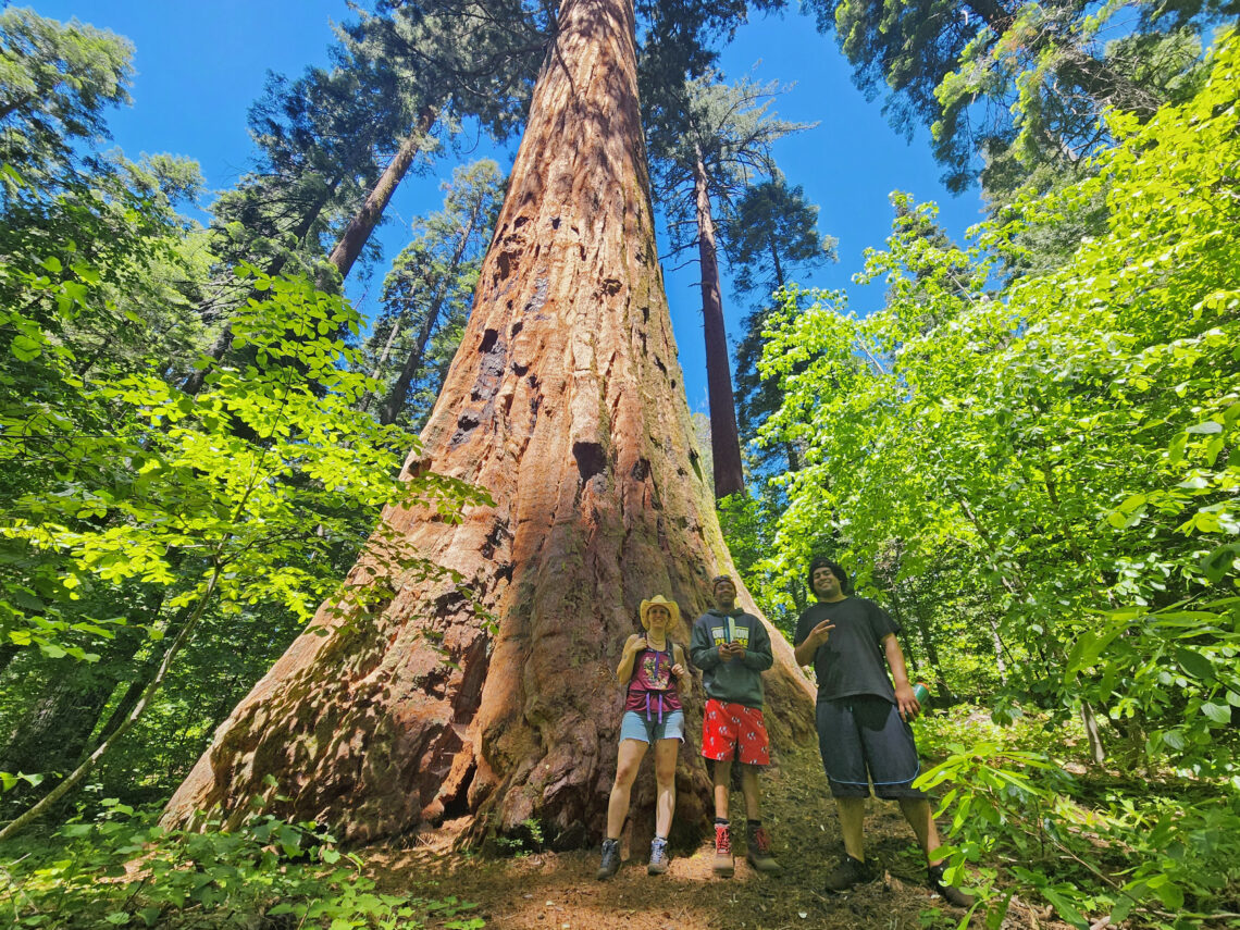 Could your organization use $6k for field trips? | Save the Redwoods League