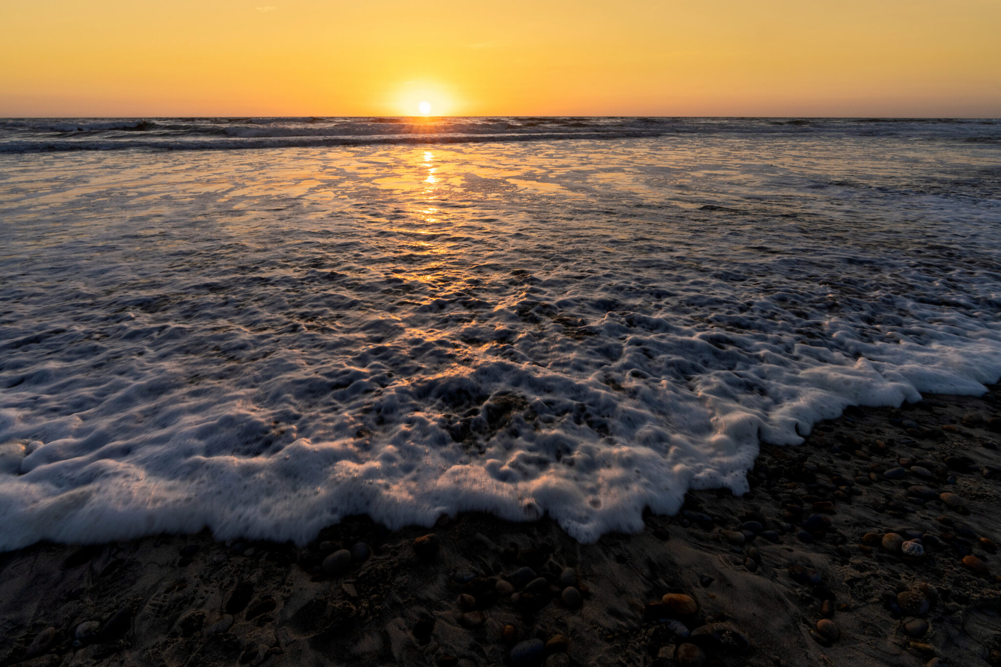 California State Parks Week Returns for Fifth Year | Save the Redwoods ...
