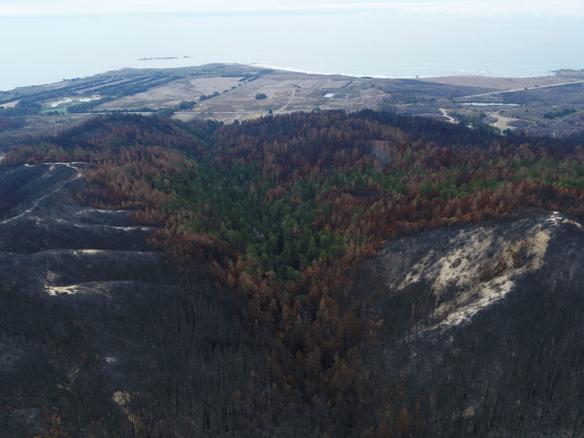 Cascade Creek: The future resilience of a fire-impacted landscape is ...