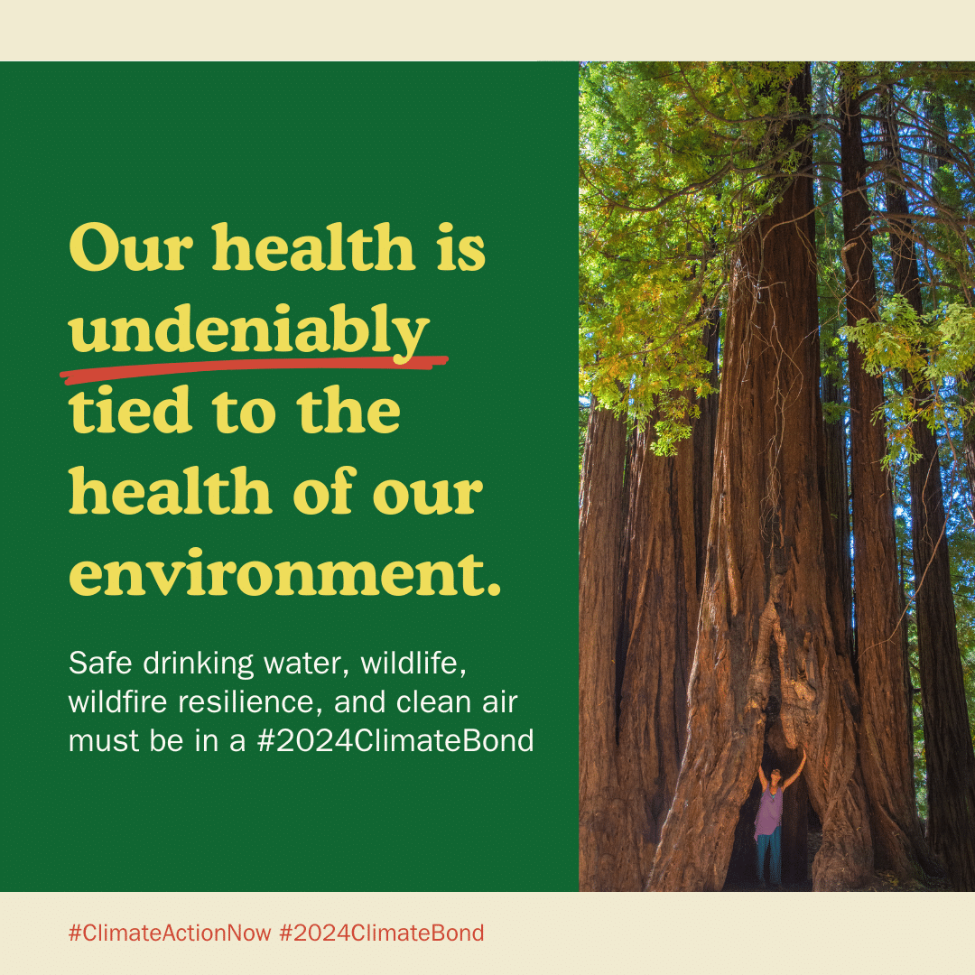 We Urge CA Electeds to Put Climate Bond on the November Ballot