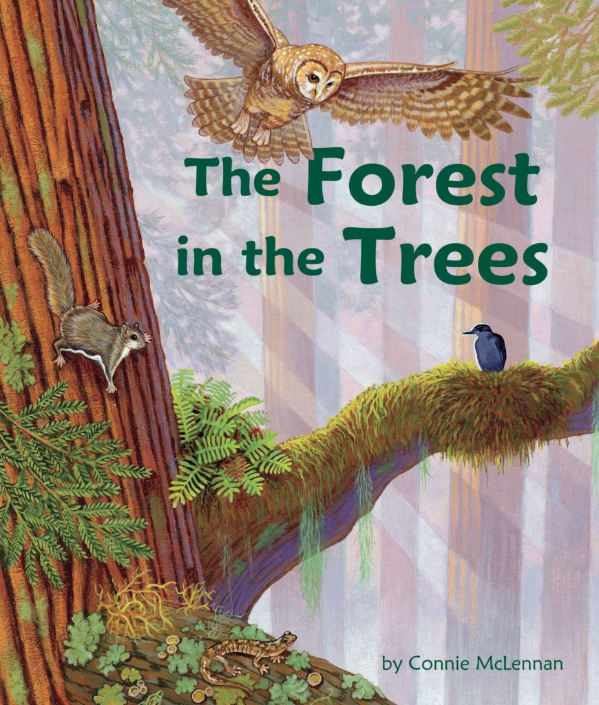 The Forest in the Trees: A Children's Book about the Redwood Canopy ...