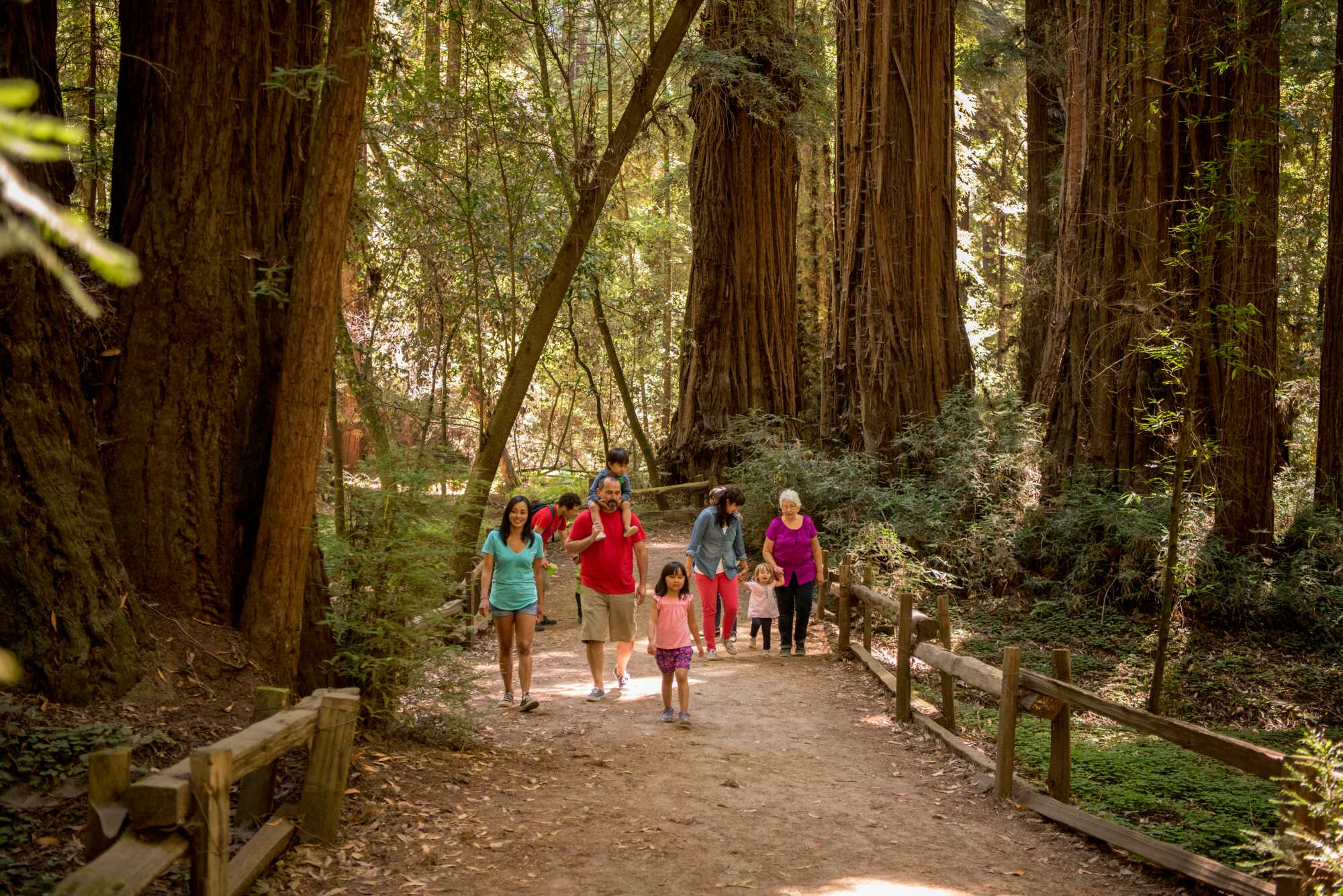 5 wonderful winter hikes in the redwood forest | Save the Redwoods League