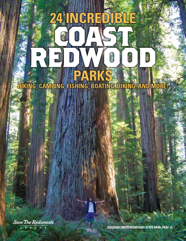 24 Incredible Coast Redwood Parks | Save the Redwoods League