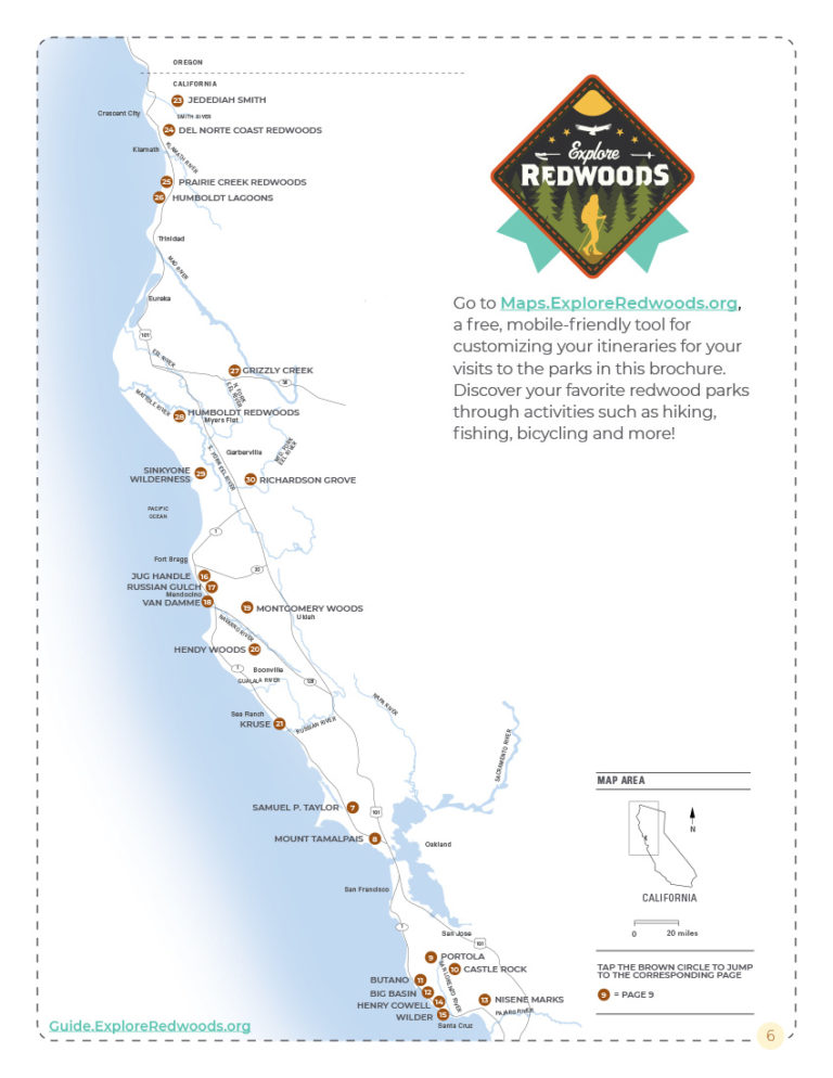 24 Incredible Coast Redwood Parks | Save the Redwoods League