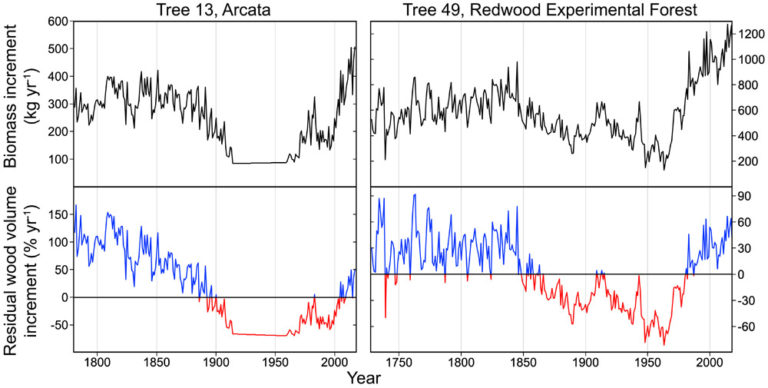 Discovering the Climate Change Resilience of Coast Redwood Forests ...