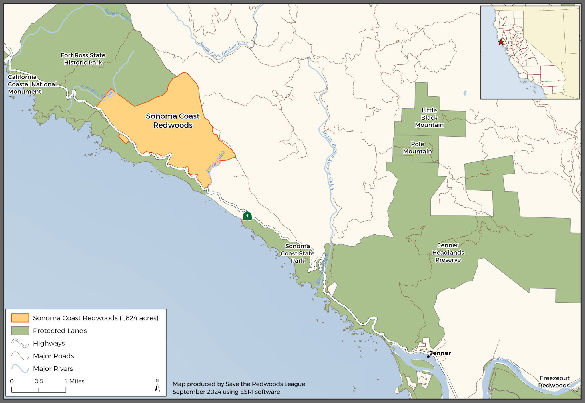 Save the Redwoods League Secures Opportunity to Protect and Restore ...