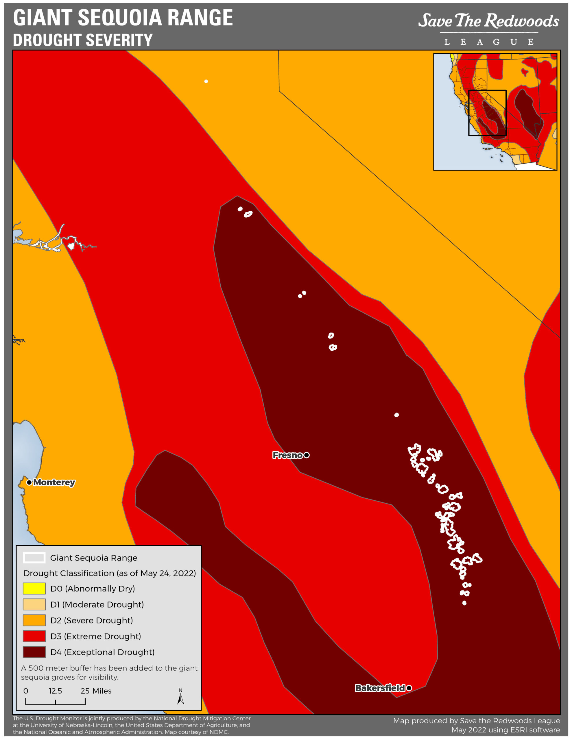 Nearly all of giant sequoia range in highest drought category | Save ...