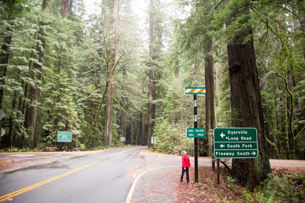 The 1964 Christmas Flood | Save the Redwoods League