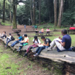 The Ancient Ones: Redwoods Through the Eyes of a Southern Pomo and ...