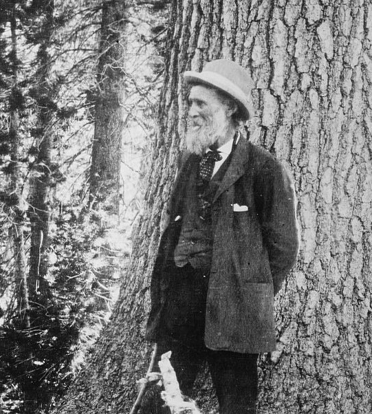 John Muir, the Legend | Save the Redwoods League
