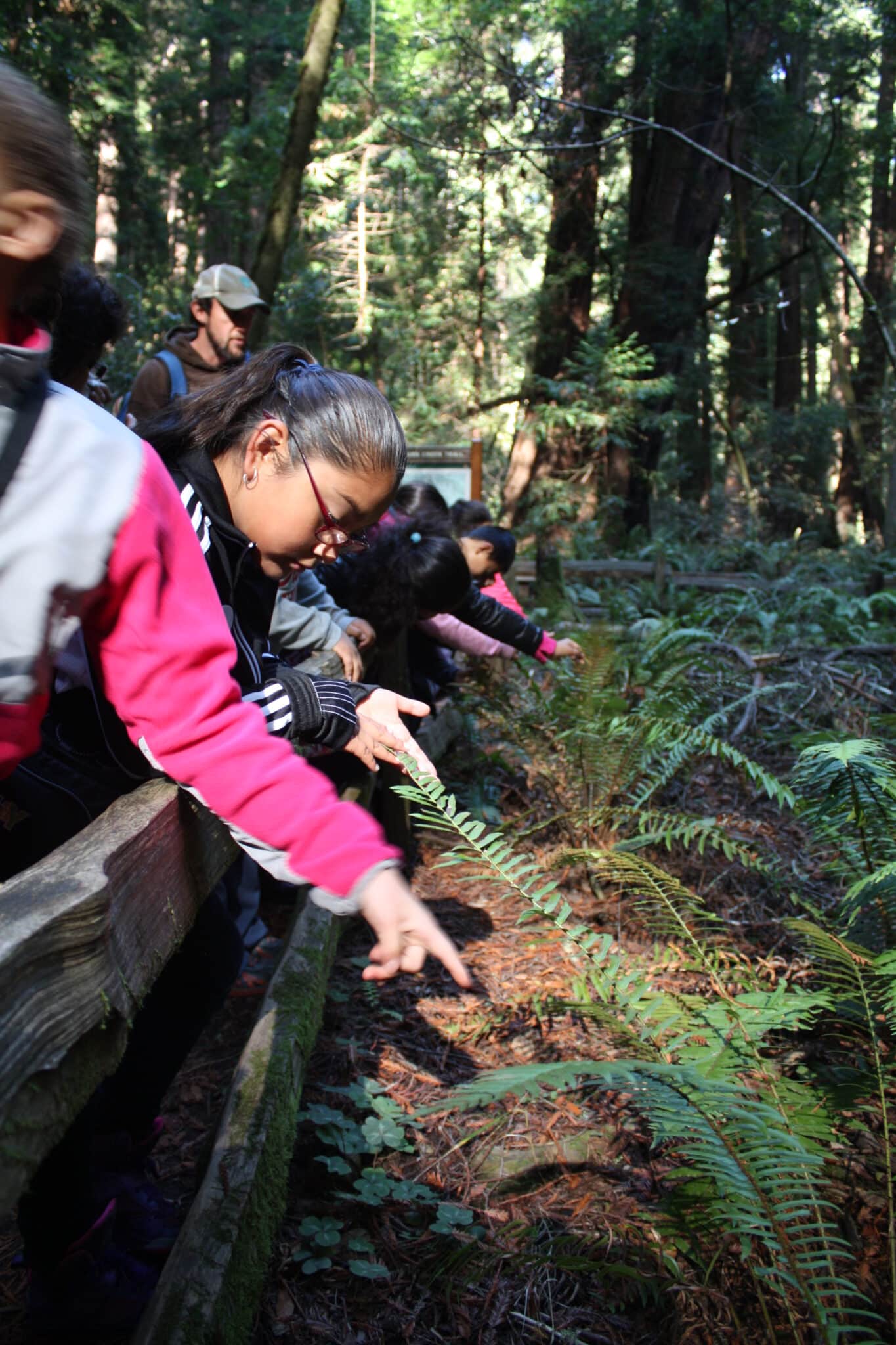 League announces 2025 Redwood Connect grantees | Save the Redwoods League