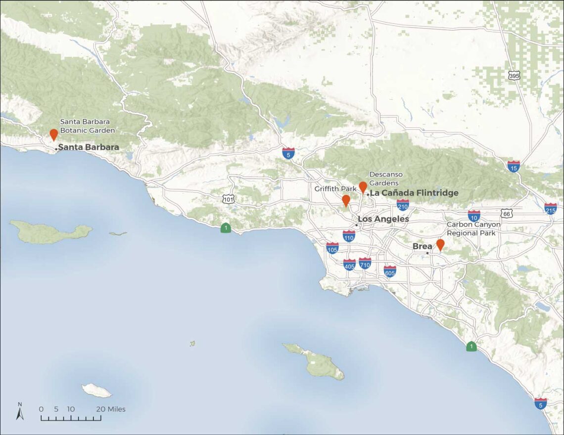 4 places to explore redwoods in Southern California | Save the Redwoods ...