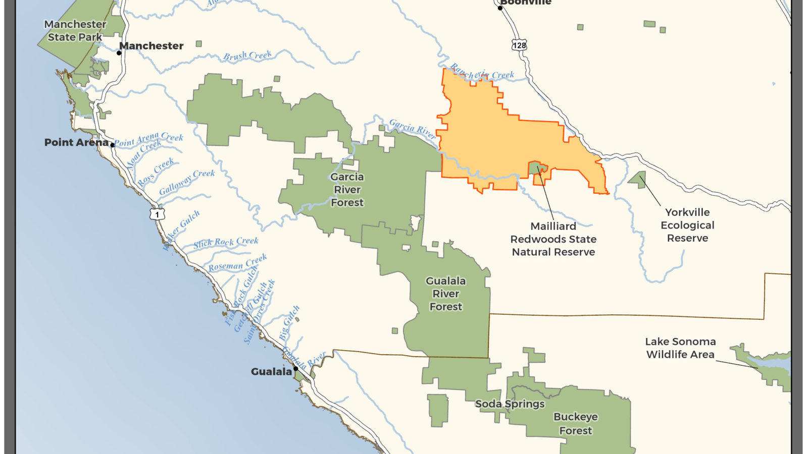 Mailliard Ranch: Nearly 15,000 Acres Protected | Save the Redwoods League