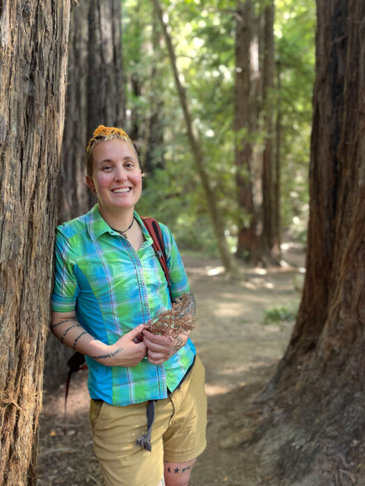Redwoods: A safe place to be ourselves | Save the Redwoods League