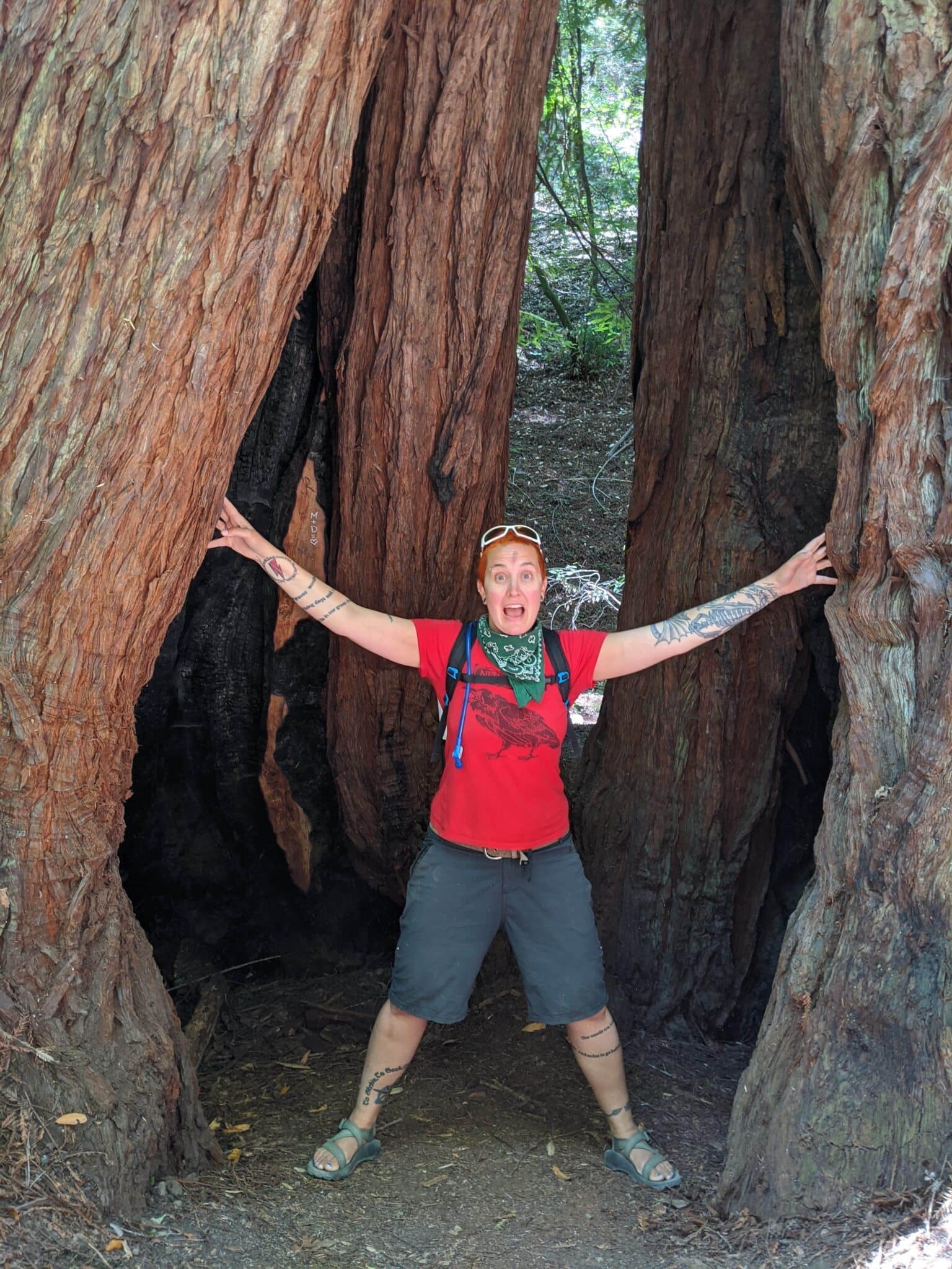 | Save the Redwoods League