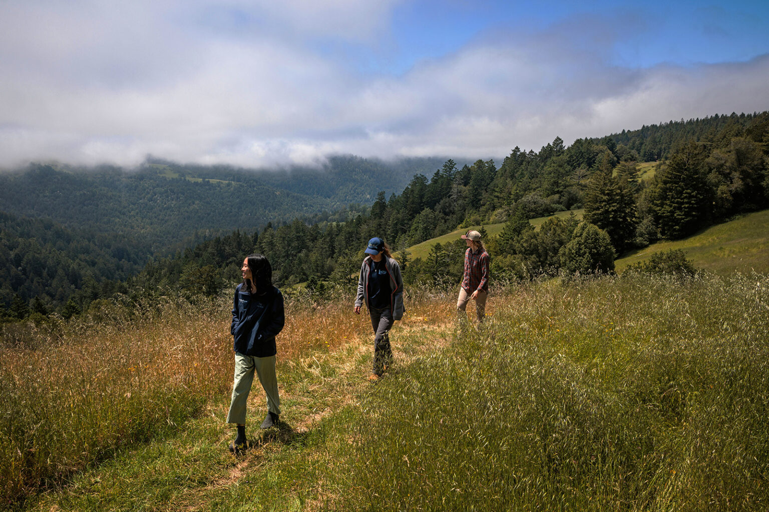 Monte Rio Redwoods Expansion | Save the Redwoods League