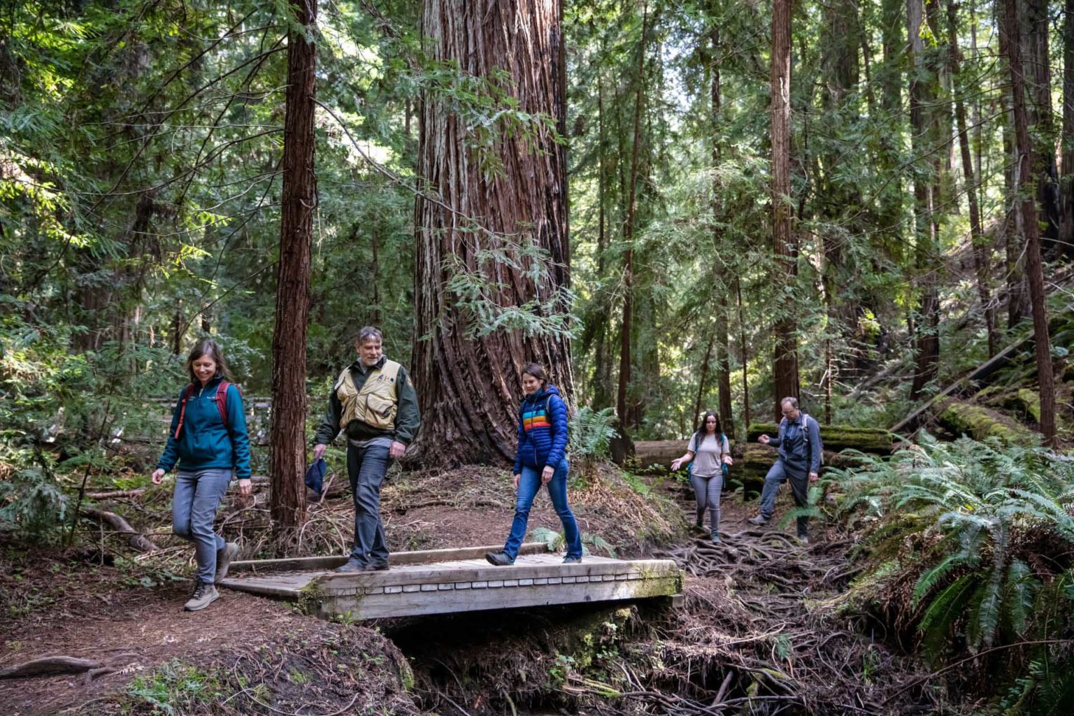 Rocky Ridge expands stunning Mendocino redwood park | Save the Redwoods League