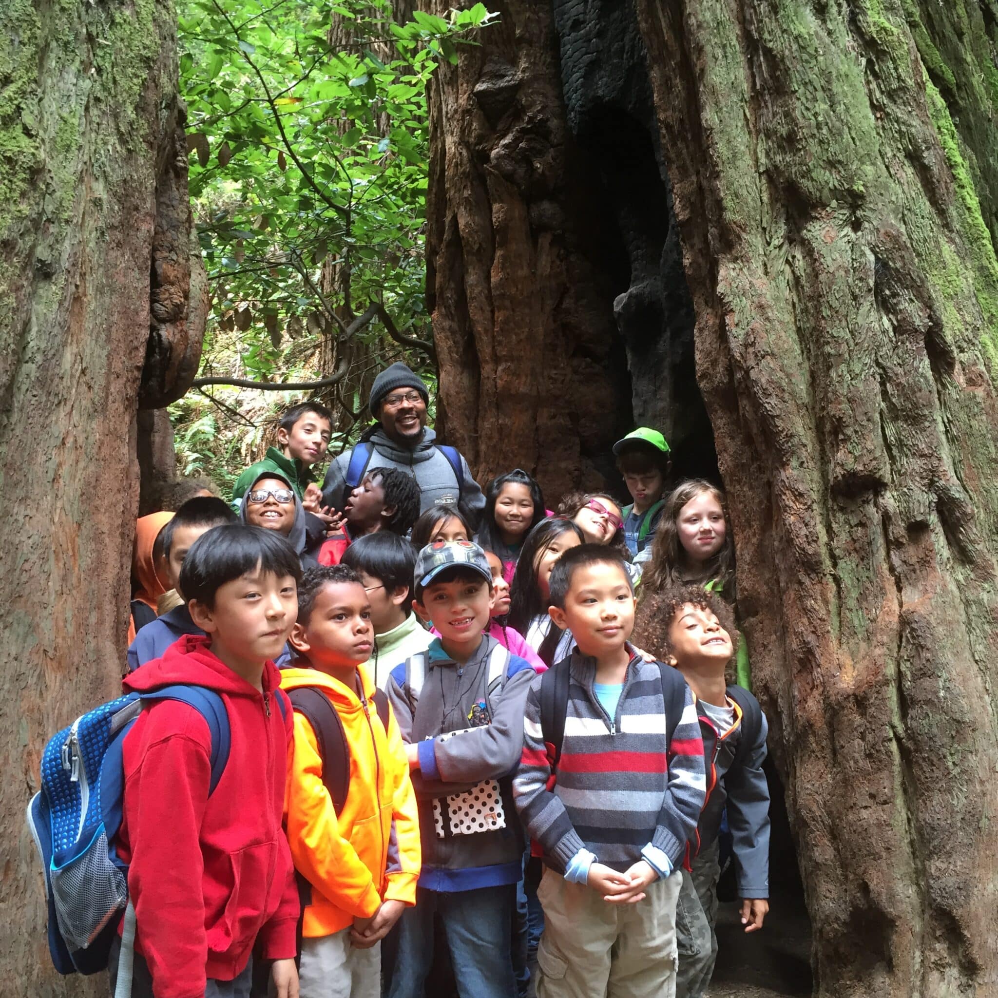 League announces 2025 Redwood Connect grantees | Save the Redwoods League