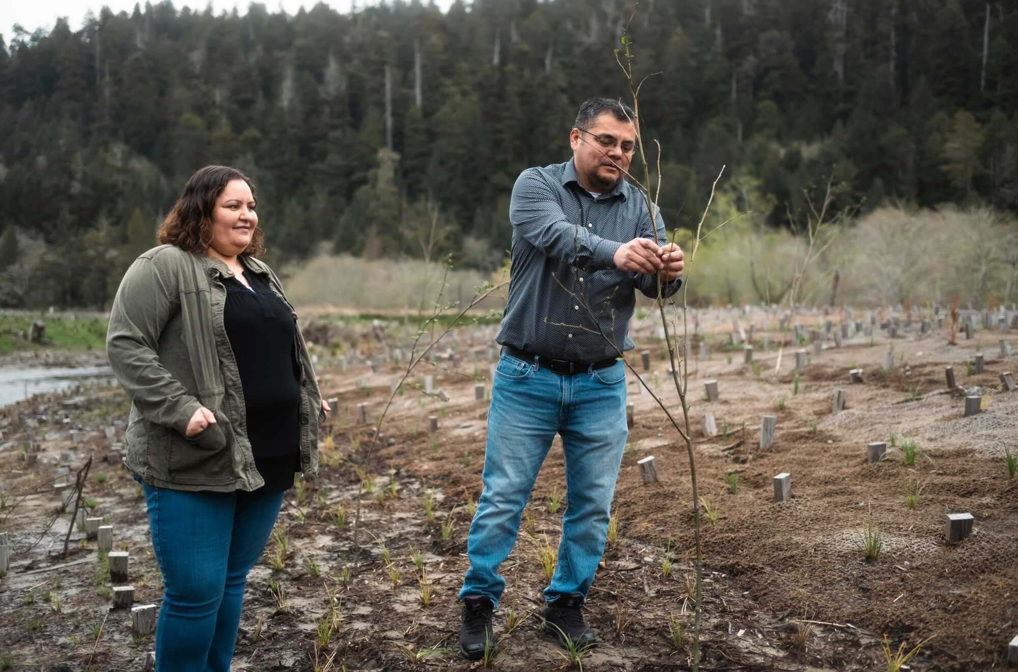 The power of reclaiming Indigenous place names | Save the Redwoods League