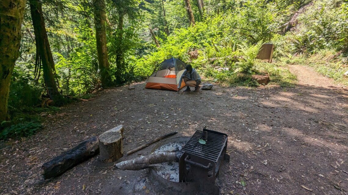 Summer camping in Redwoods National Park | Save the Redwoods League