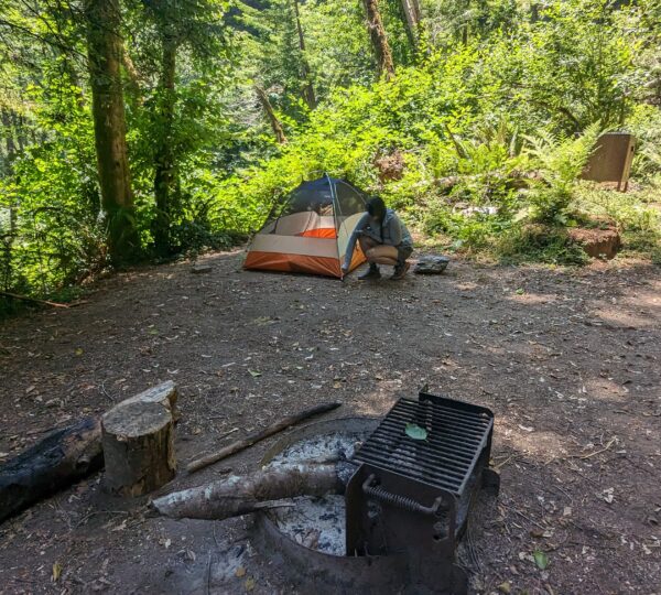 Pfeiffer Falls Trail reopens: Welcome back, hikers! | Save the Redwoods ...