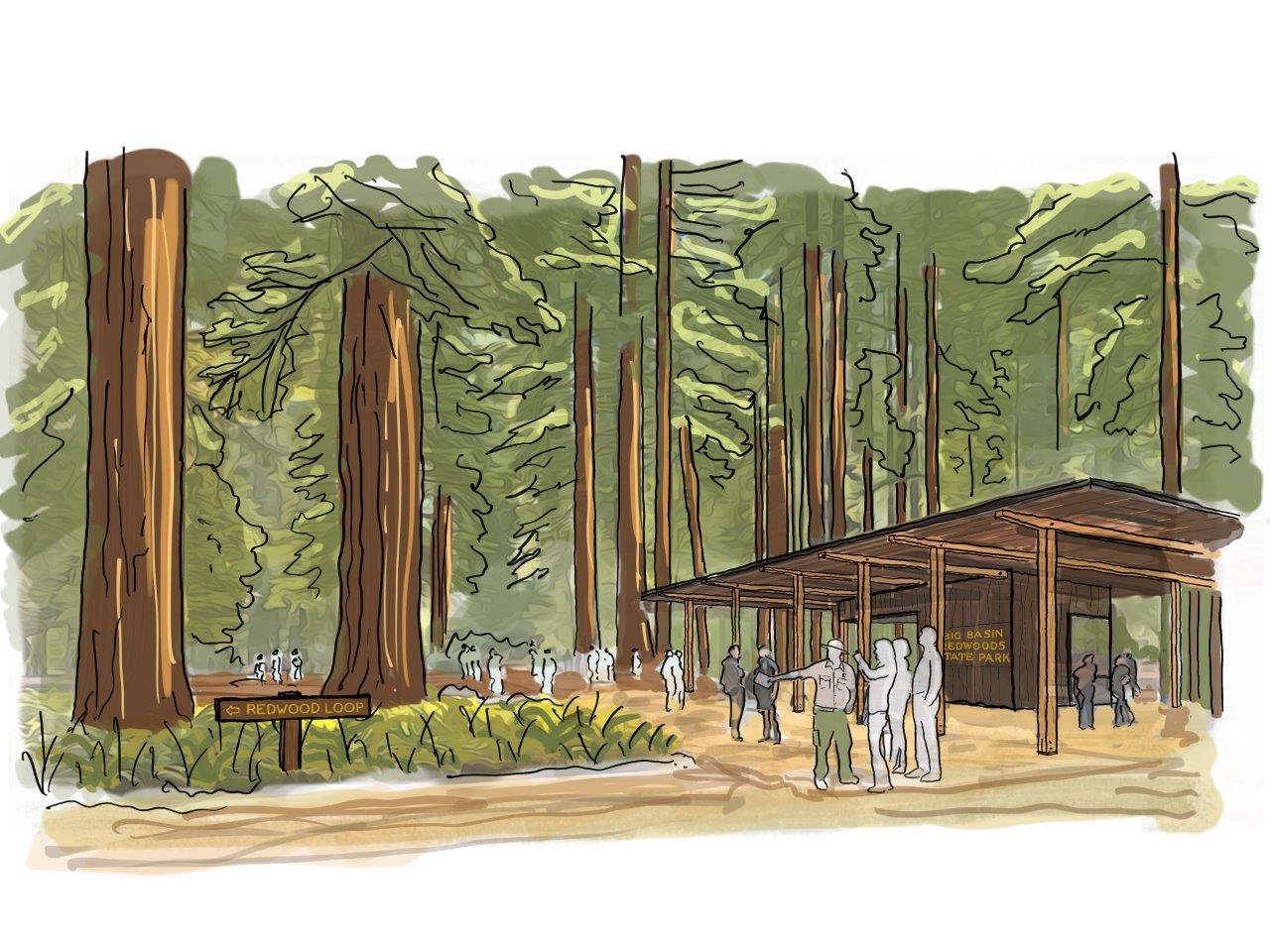 Rebuilding Big Basin: a vision for its future after wildfire | Save the ...