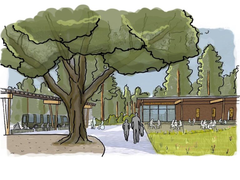 Rebuilding Big Basin: a vision for its future after wildfire | Save the ...