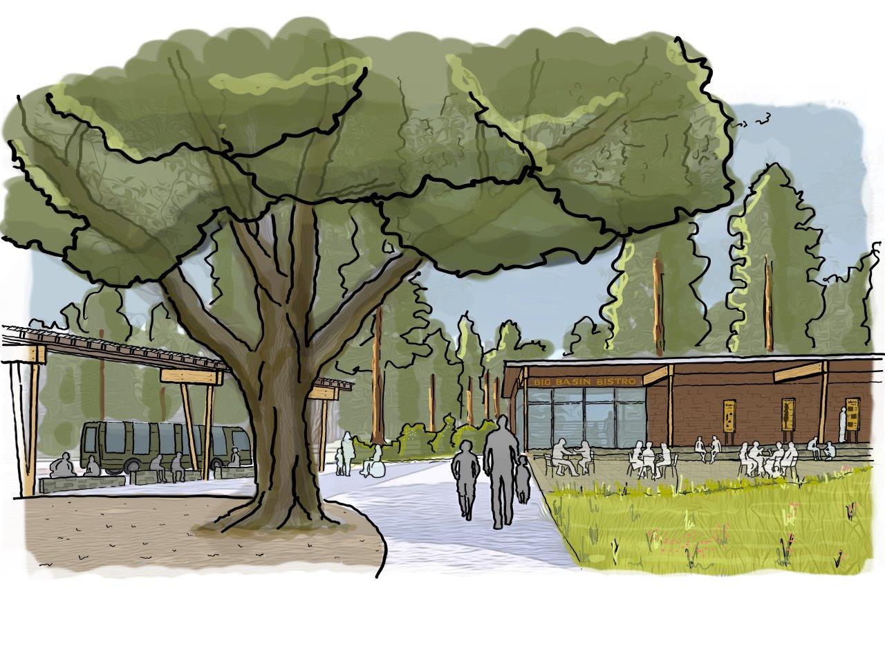 Rebuilding Big Basin: a vision for its future after wildfire | Save the ...
