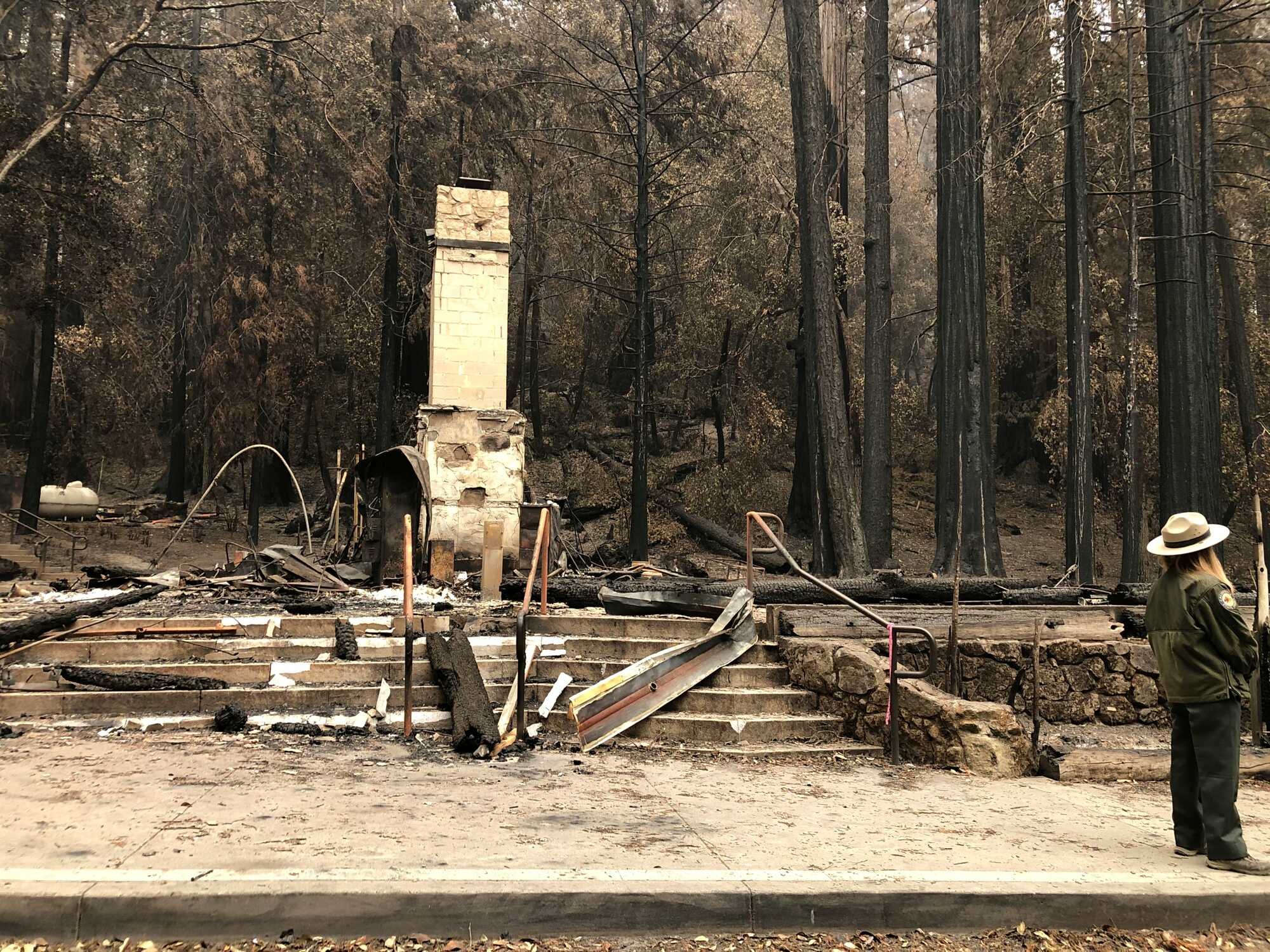 Rebuilding Big Basin: a vision for its future after wildfire | Save the ...