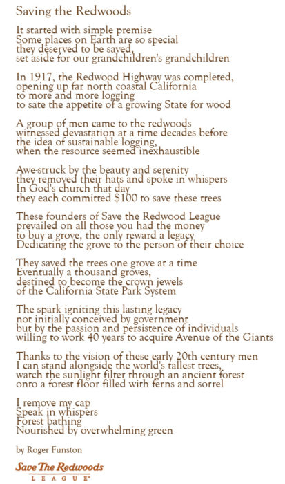 Redwoods Inspired Art | Save the Redwoods League