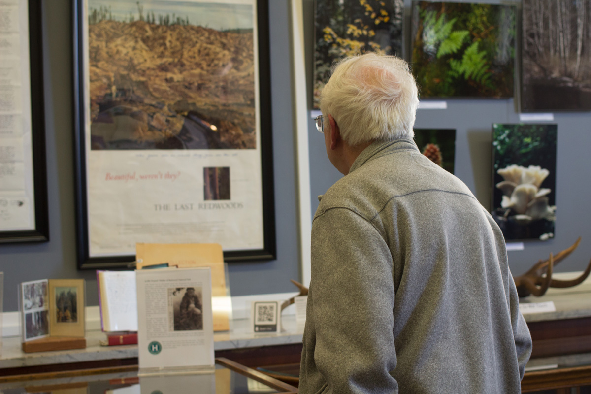 New Exhibit Explores the Controversial History of Redwood National Park ...