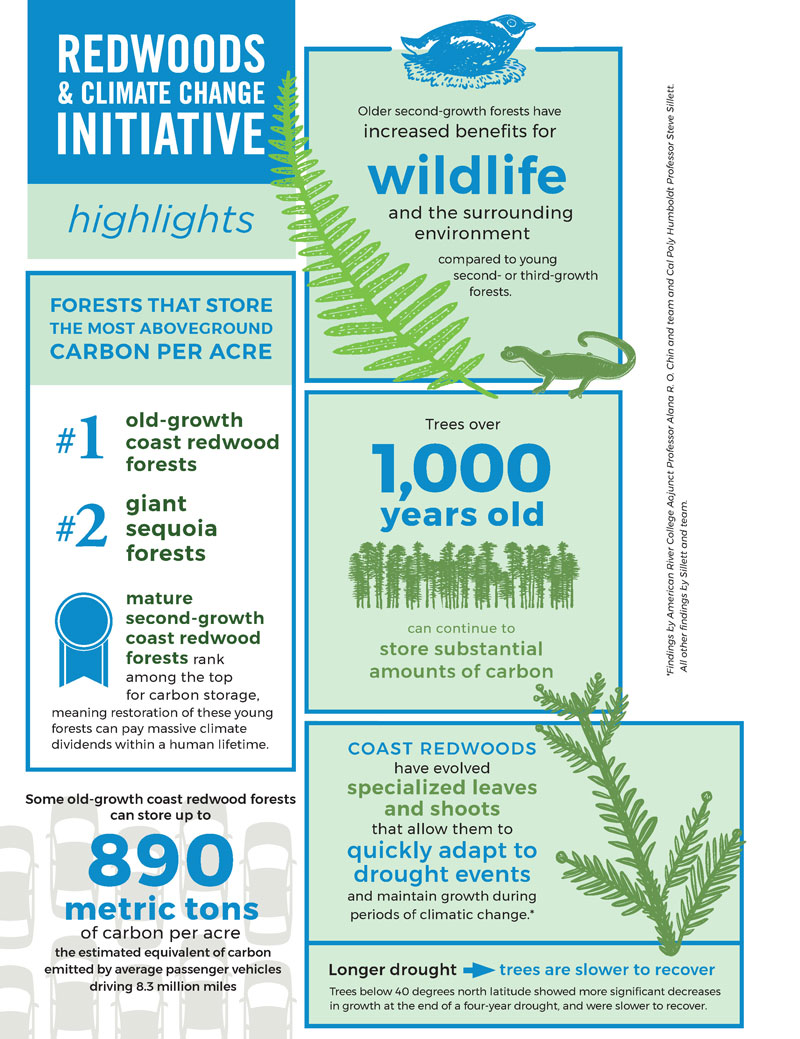 Helping redwoods fight climate change | Save the Redwoods League