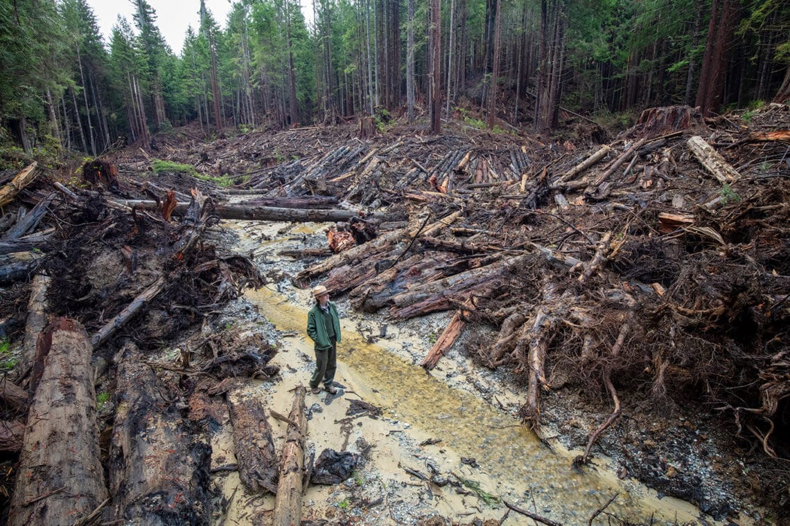 Why and How We Restore Forests | Save the Redwoods League