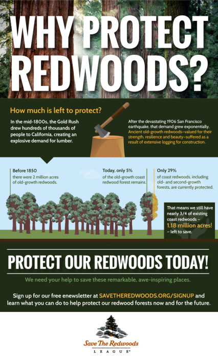 Celebrate International Day of Forests with New Infographic | Save the ...
