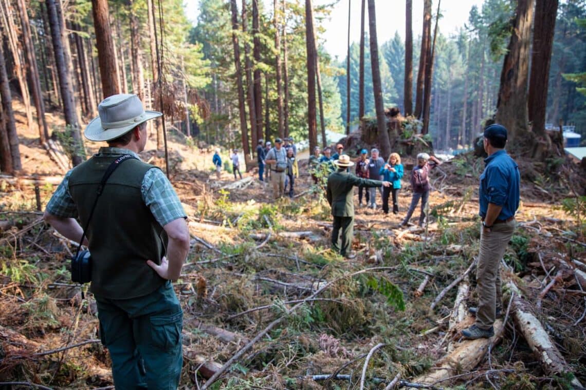 Redwoods Rising celebrates 5 years of audacious optimism | Save the ...