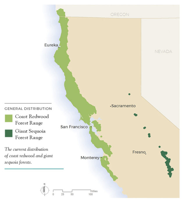 Save the Redwoods League Scientists Reveal Significant Need for Forest ...