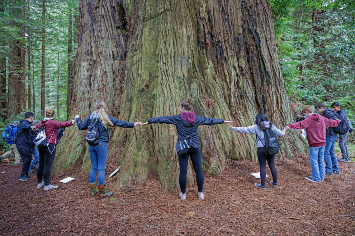 Our Work: Education | Save the Redwoods League