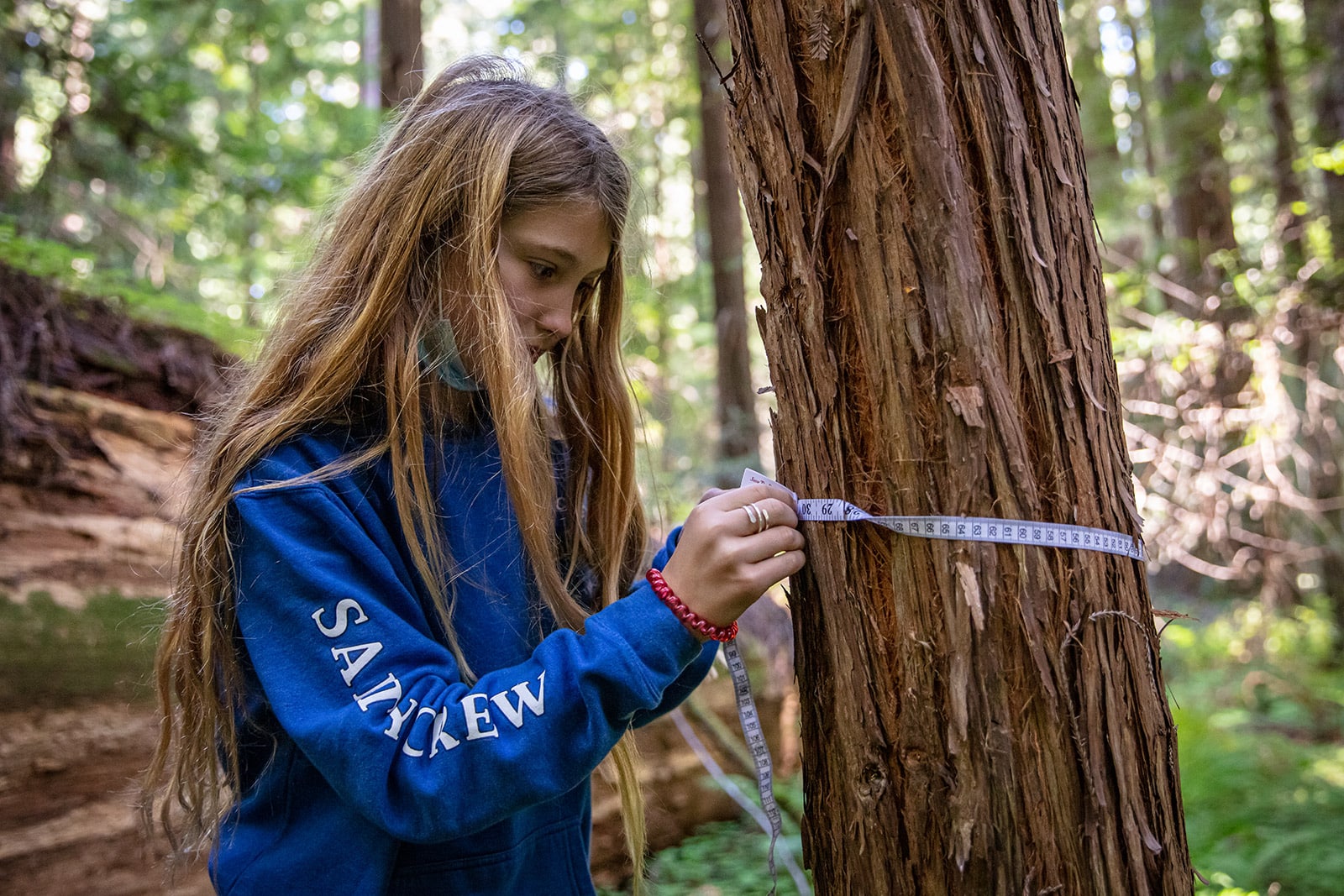 Free outdoor ed for Humboldt County schools | Save the Redwoods League