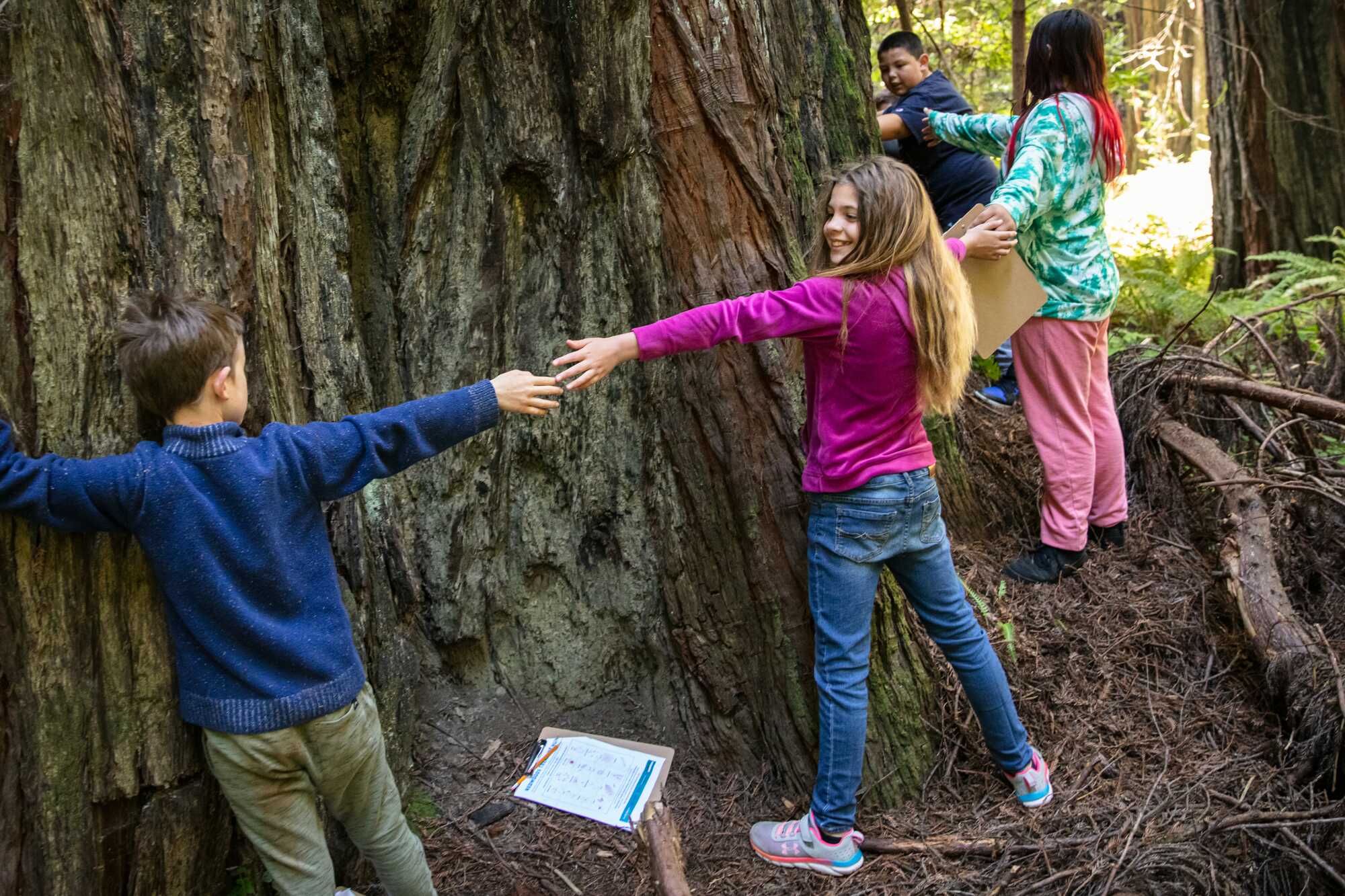 Window opens for $6,000 Redwood Connect Grants | Save the Redwoods League