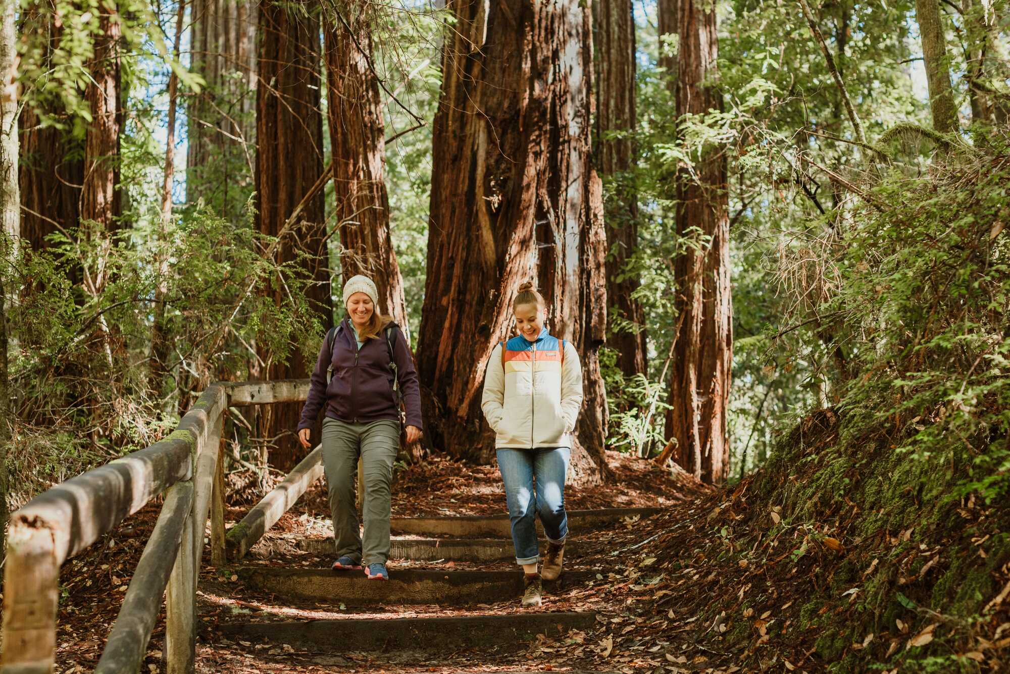 Redwoods backpacking, the antidote to stress | Save the Redwoods League