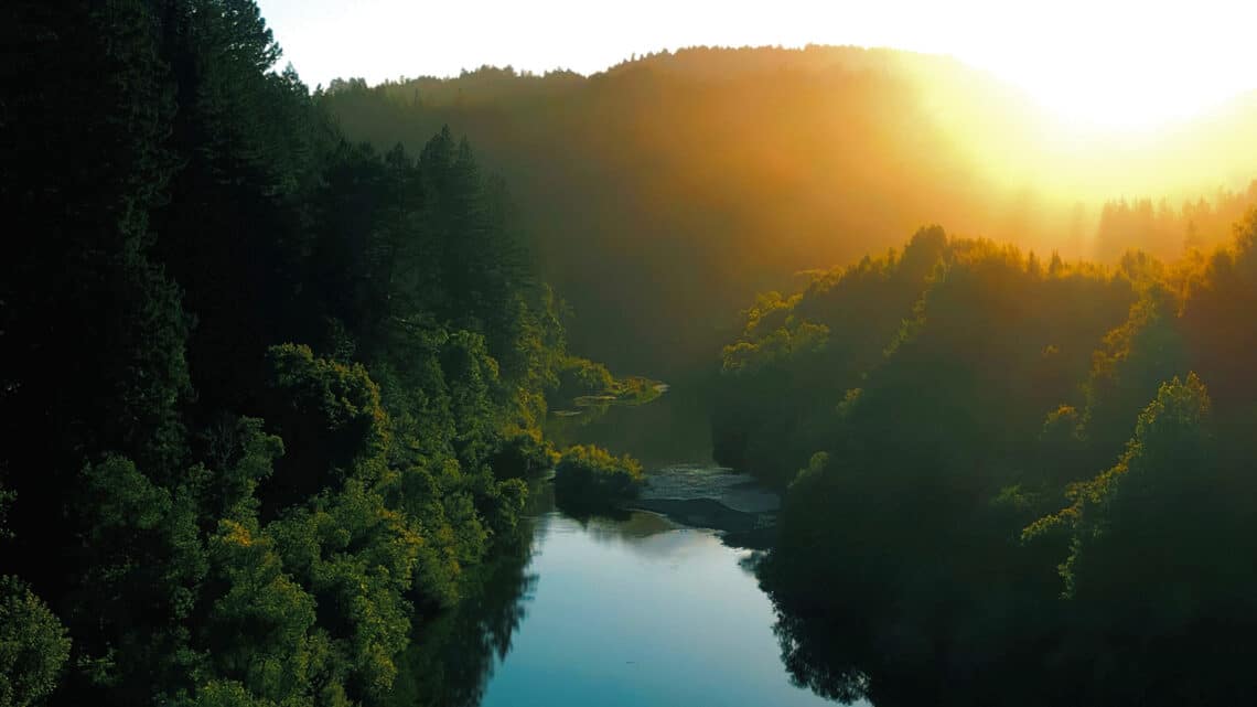 Russian River Redwoods | Save the Redwoods League