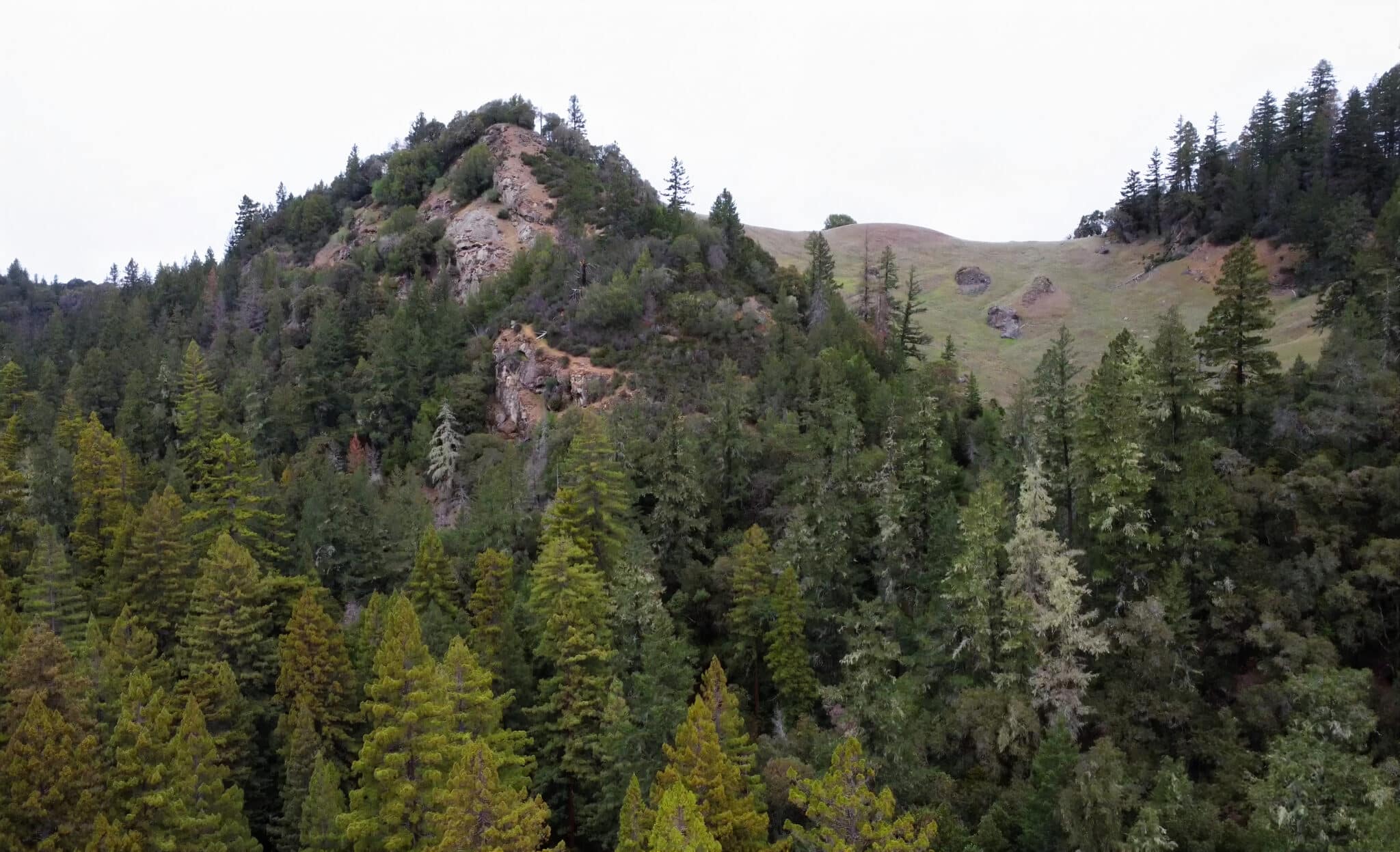 League and State Parks to Expand Montgomery Woods SNR