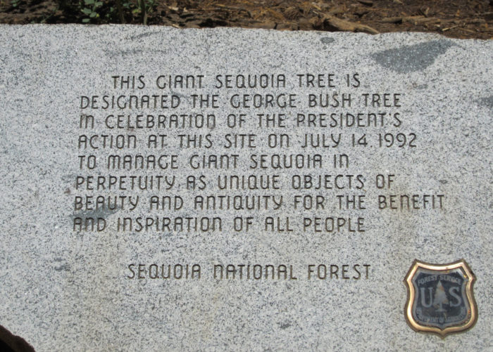 150 Years of Saving the Giant Sequoia | Save the Redwoods League